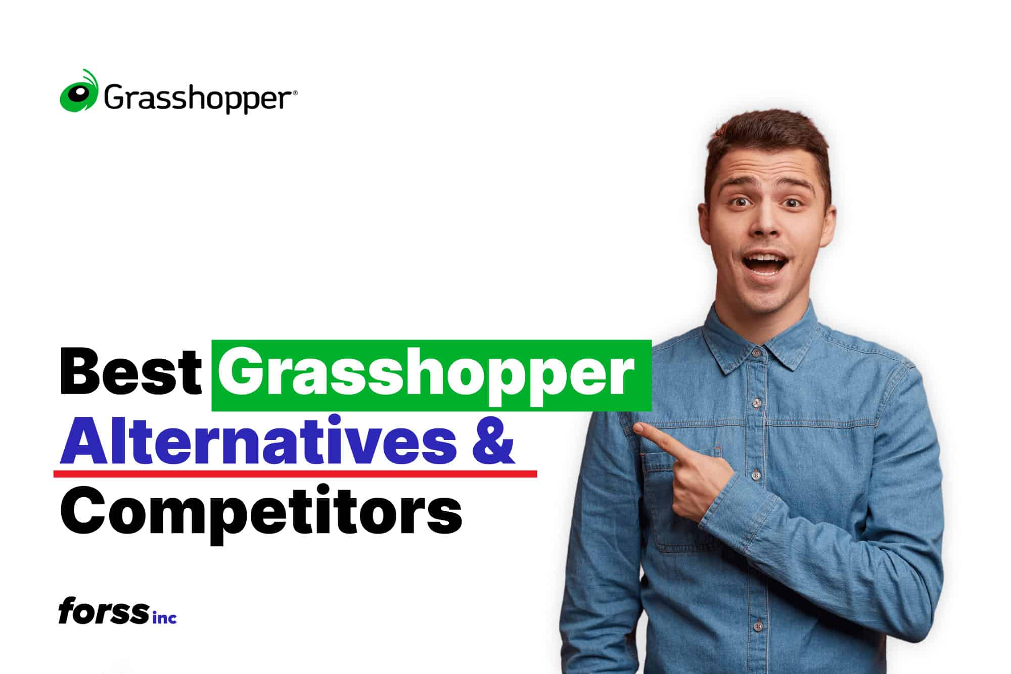 21 Best Grasshopper Alternatives & Competitors of 2026 (Grasshopper vs ...